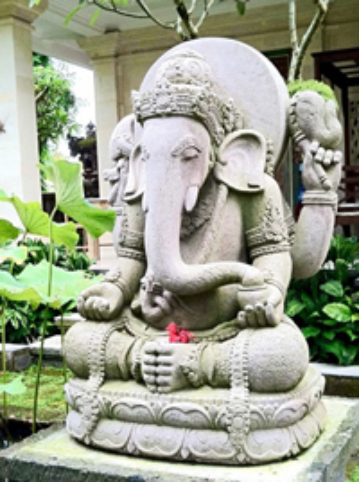 Ganesh Garden Statue Melbourne | Fasci Garden